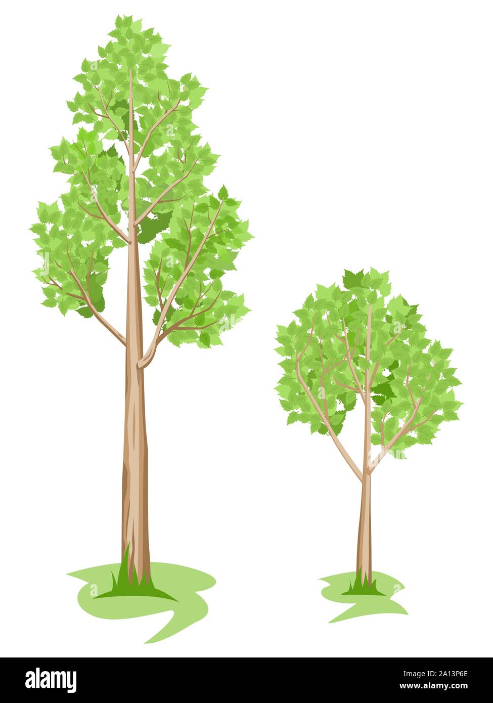 Summer. Trees set Stock Vector Image & Art - Alamy