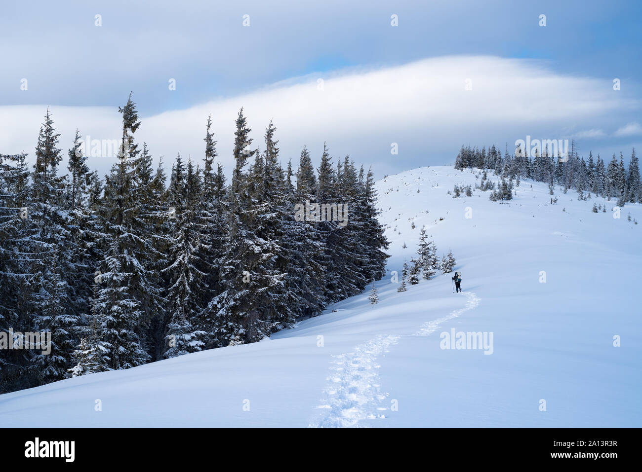 Winter mountain hike. A tourist walks along a snowy trail. Landscape ...