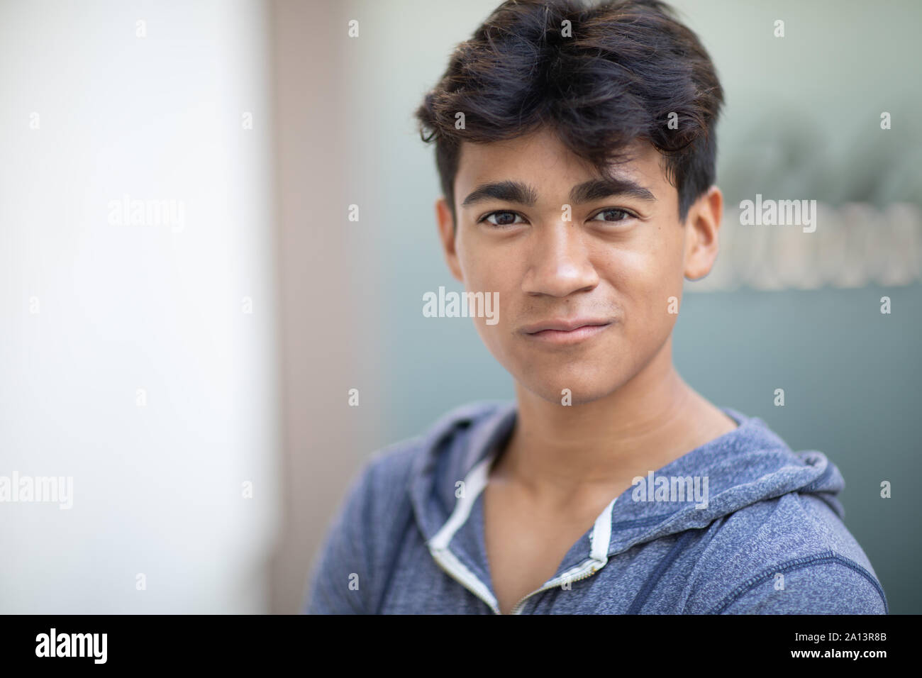 Portrait of a handsome Asian young man next to the blurred background ...