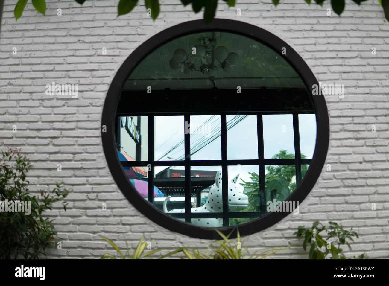 Circular window view from behind a tree with vines and leaves ...