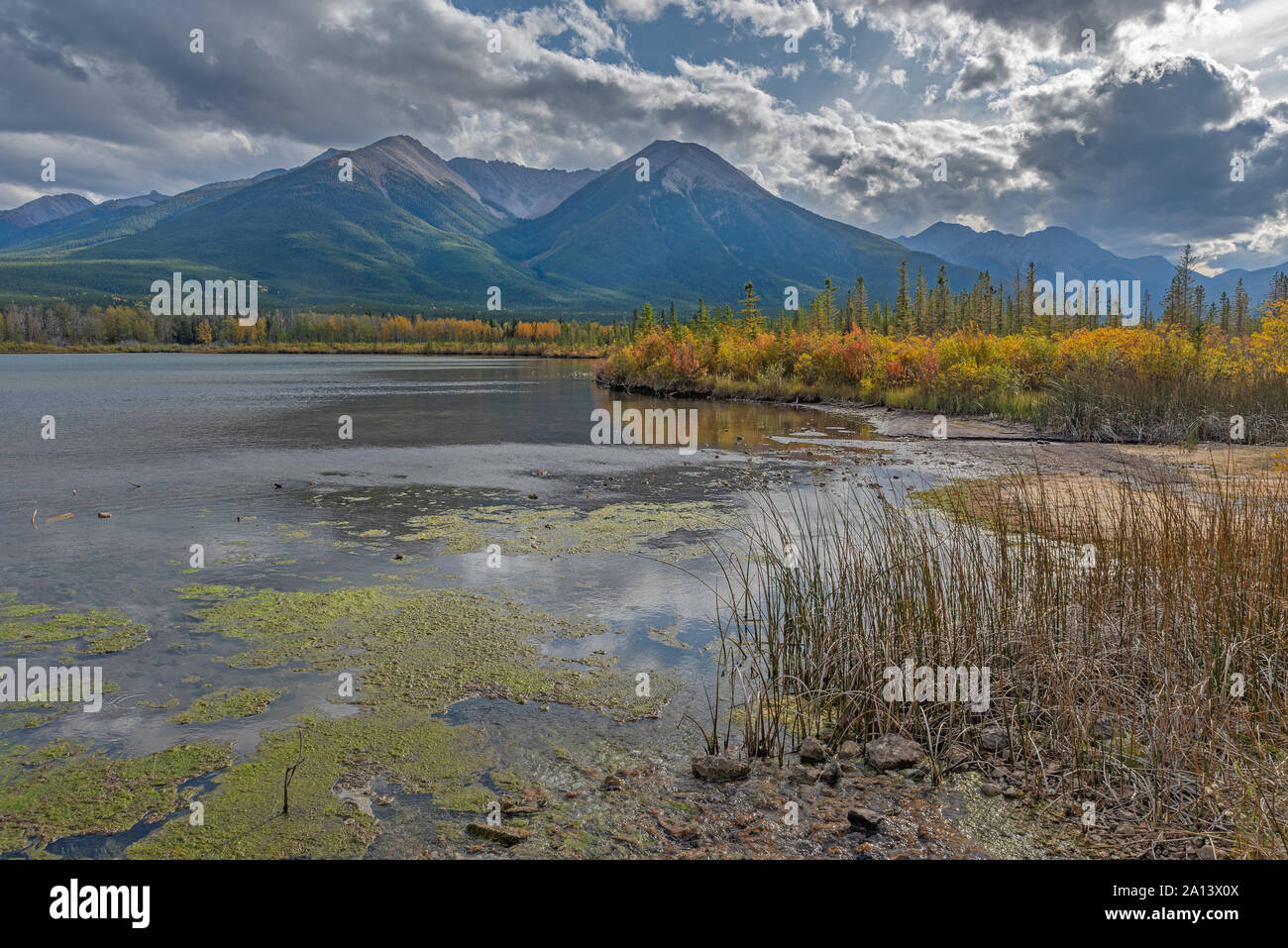 Vermilion Lakes in Banff National Park, Alberta, Canada Stock Photo - Alamy