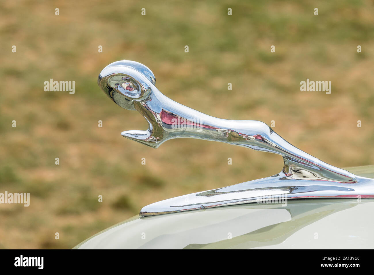 A leaping ram hood ornament on a classic Dodge automobile at the ...