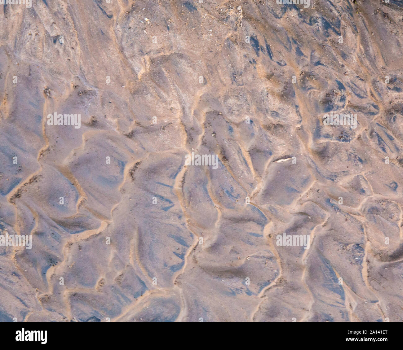 Sediment ripples hi-res stock photography and images - Alamy