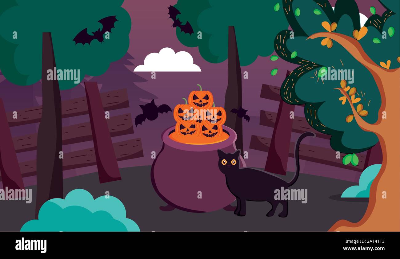 filled cauldron with pumpkins and cat trick or treat - happy halloween ...