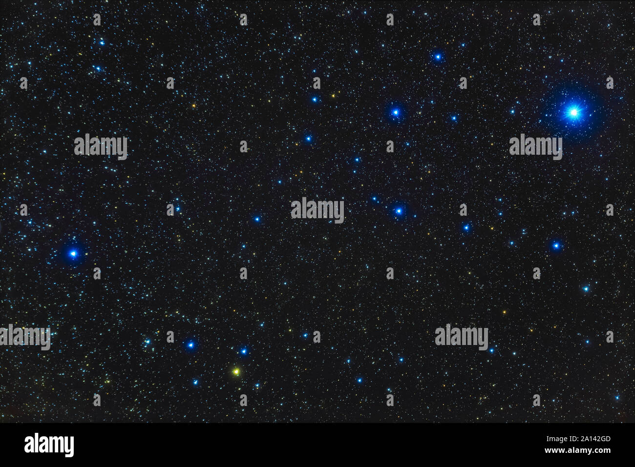Colorful young blue and yellow stars in the Alpha Persei Cluster Stock ...