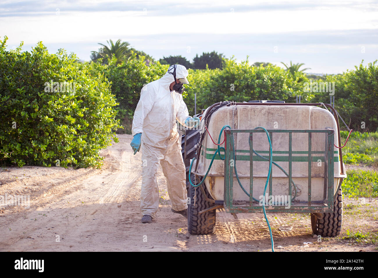 Men spray fumigation. Industrial chemical agriculture. Man spraying ...