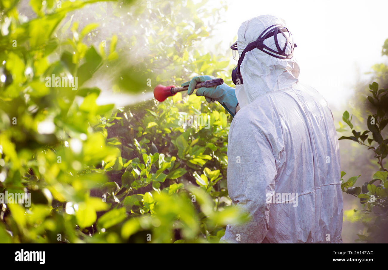 Men spray fumigation. Industrial chemical agriculture. Man spraying ...