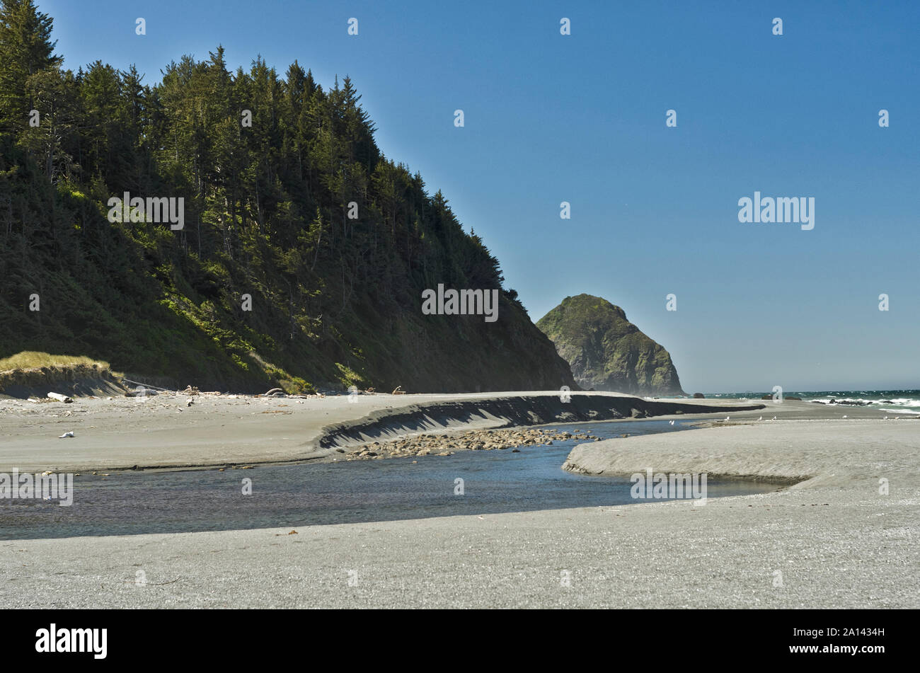 Arizona Beach State Natural Area. A stream flows over the beach, below ...