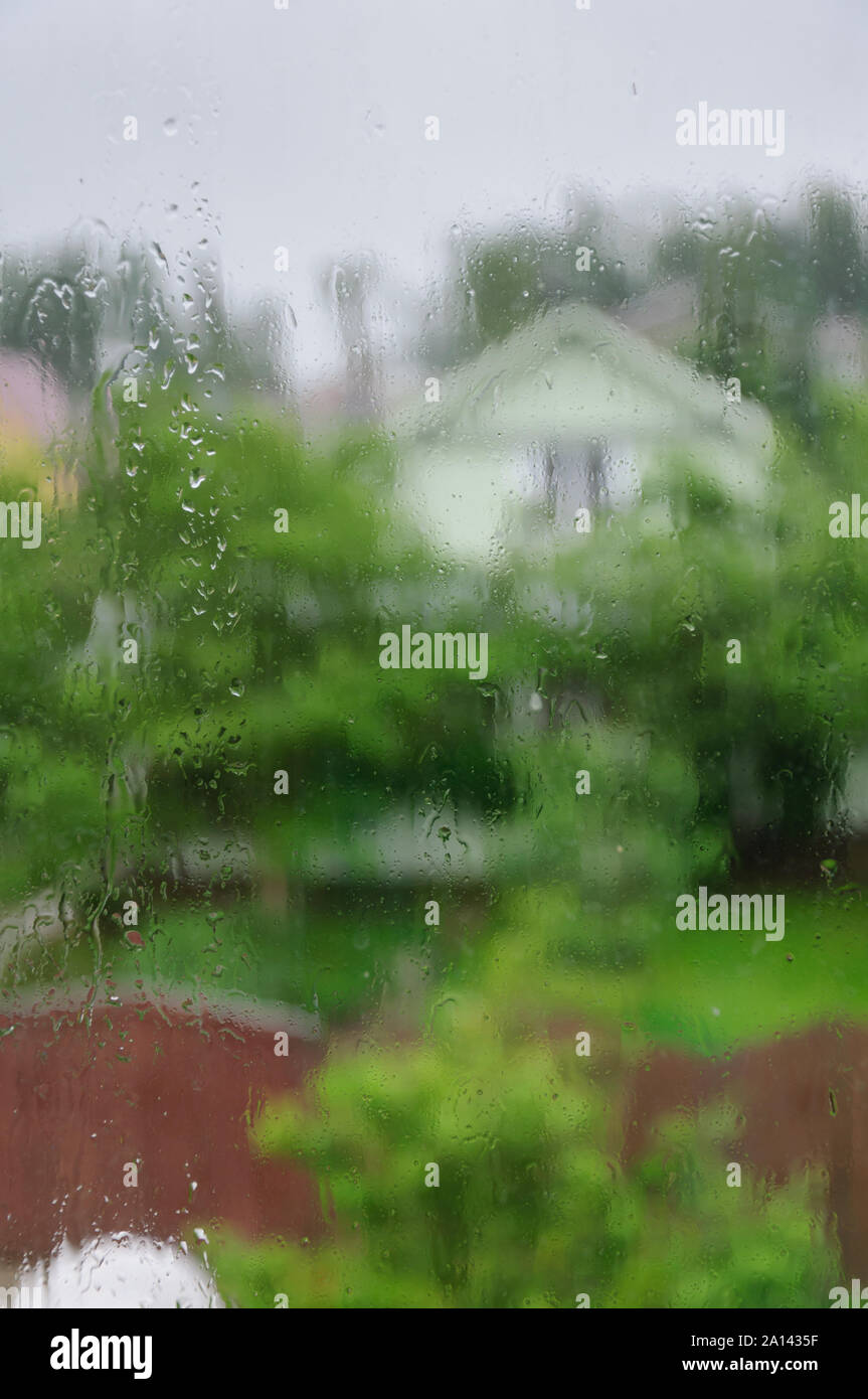 wet glass of window with raindrops, estate garden, view through window ...