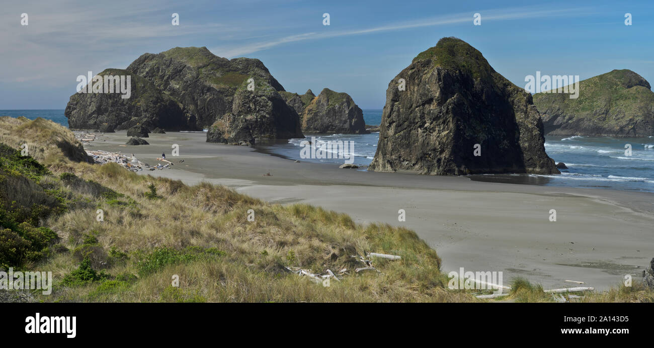 Sea stacks emerge from the beach on the Oregon coast, near Gold Beach ...