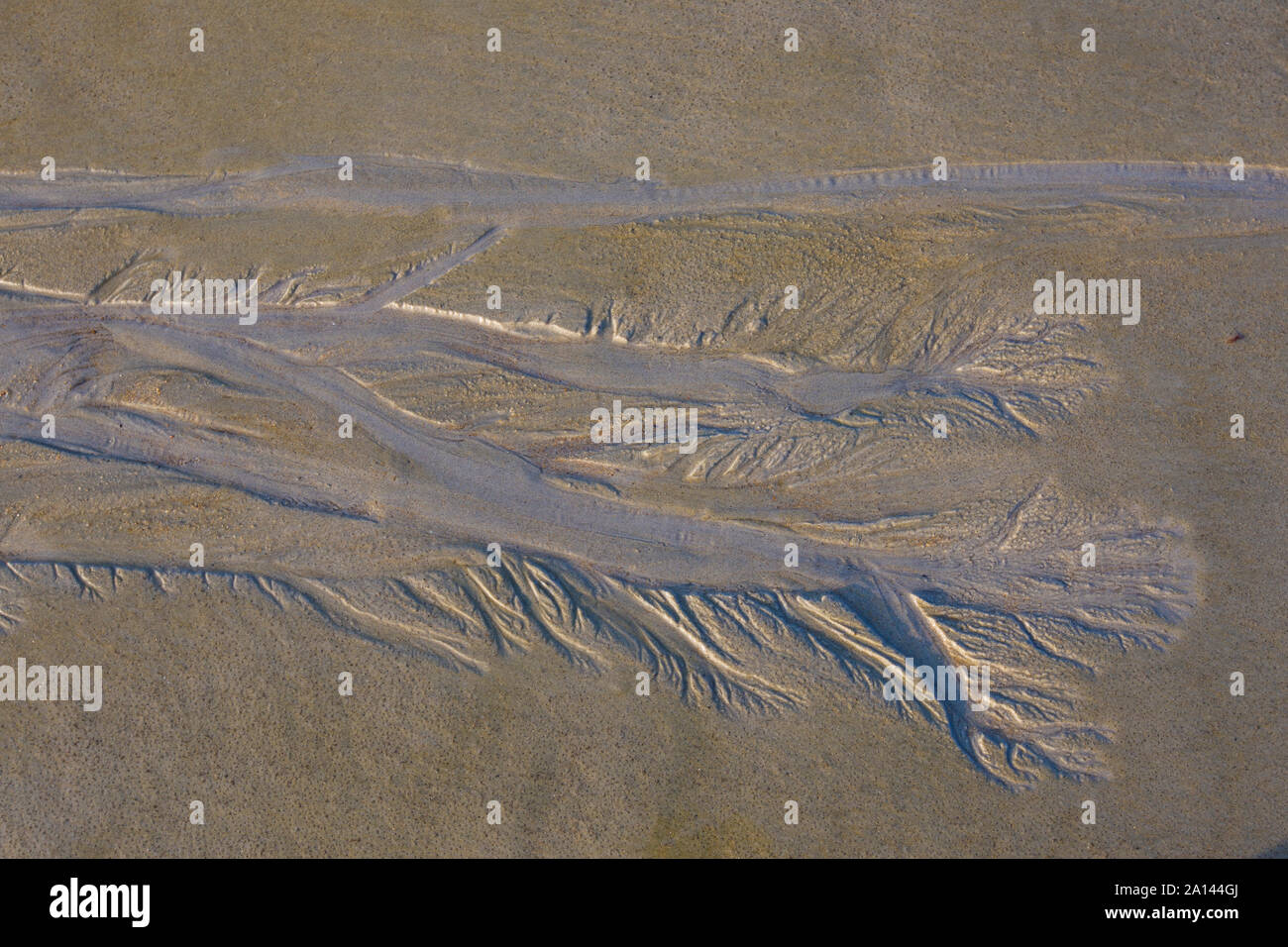 Veins rivers hi-res stock photography and images - Alamy
