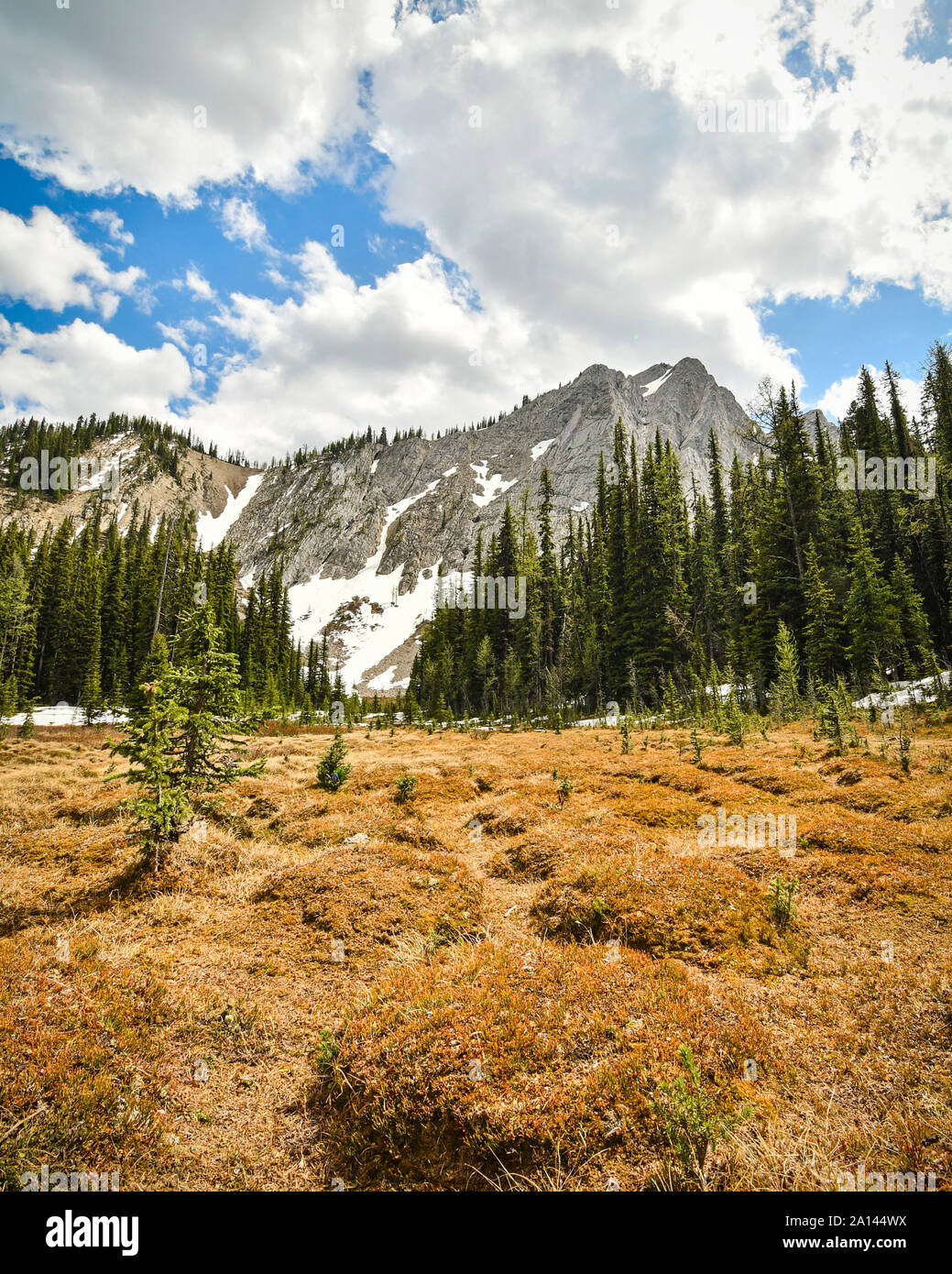 Bumpy meadows hi-res stock photography and images - Alamy