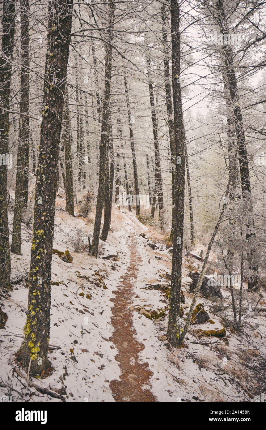Frosty hiking trail hi-res stock photography and images - Alamy