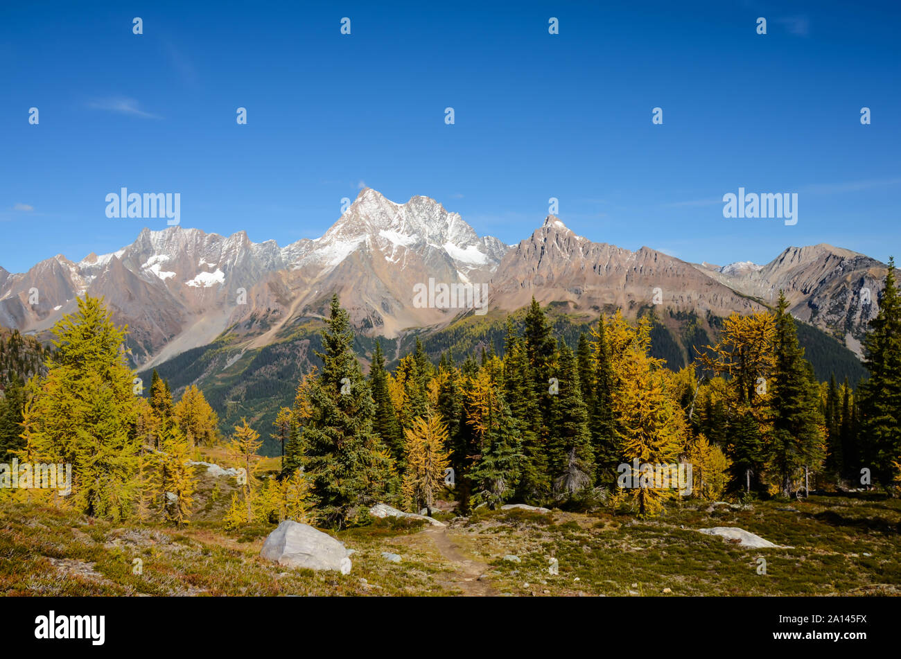 Jumbo Pass, British Columbia, Canada in Fall with Golden Larch. Purcell ...