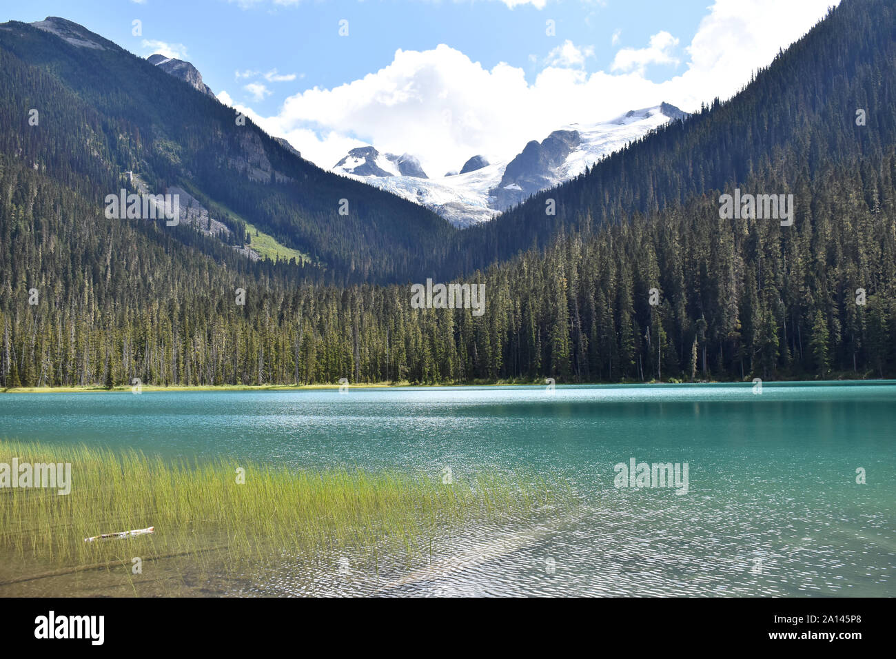 Canada british columbia lower hi-res stock photography and images - Alamy