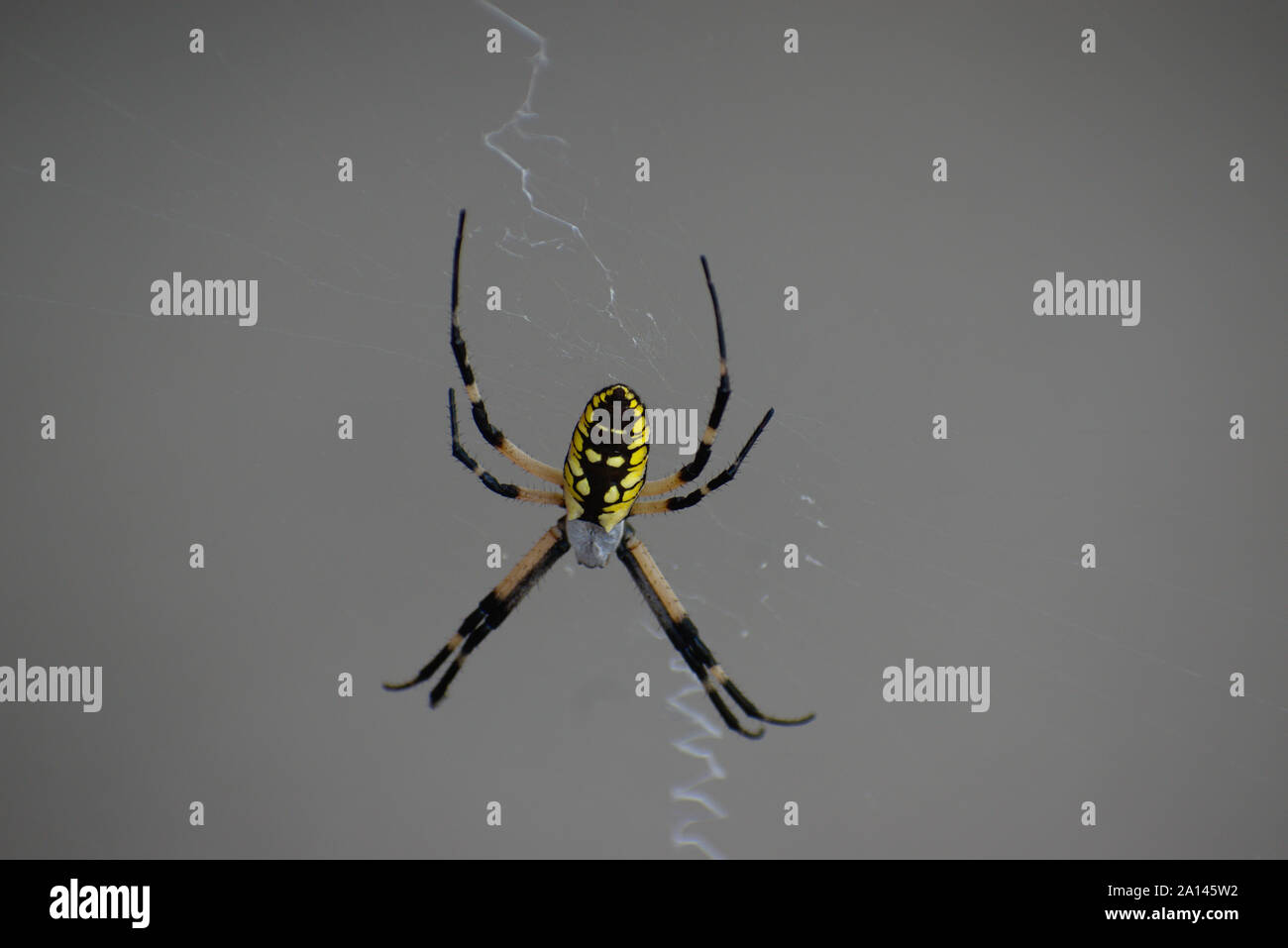 Web writing hi-res stock photography and images - Alamy