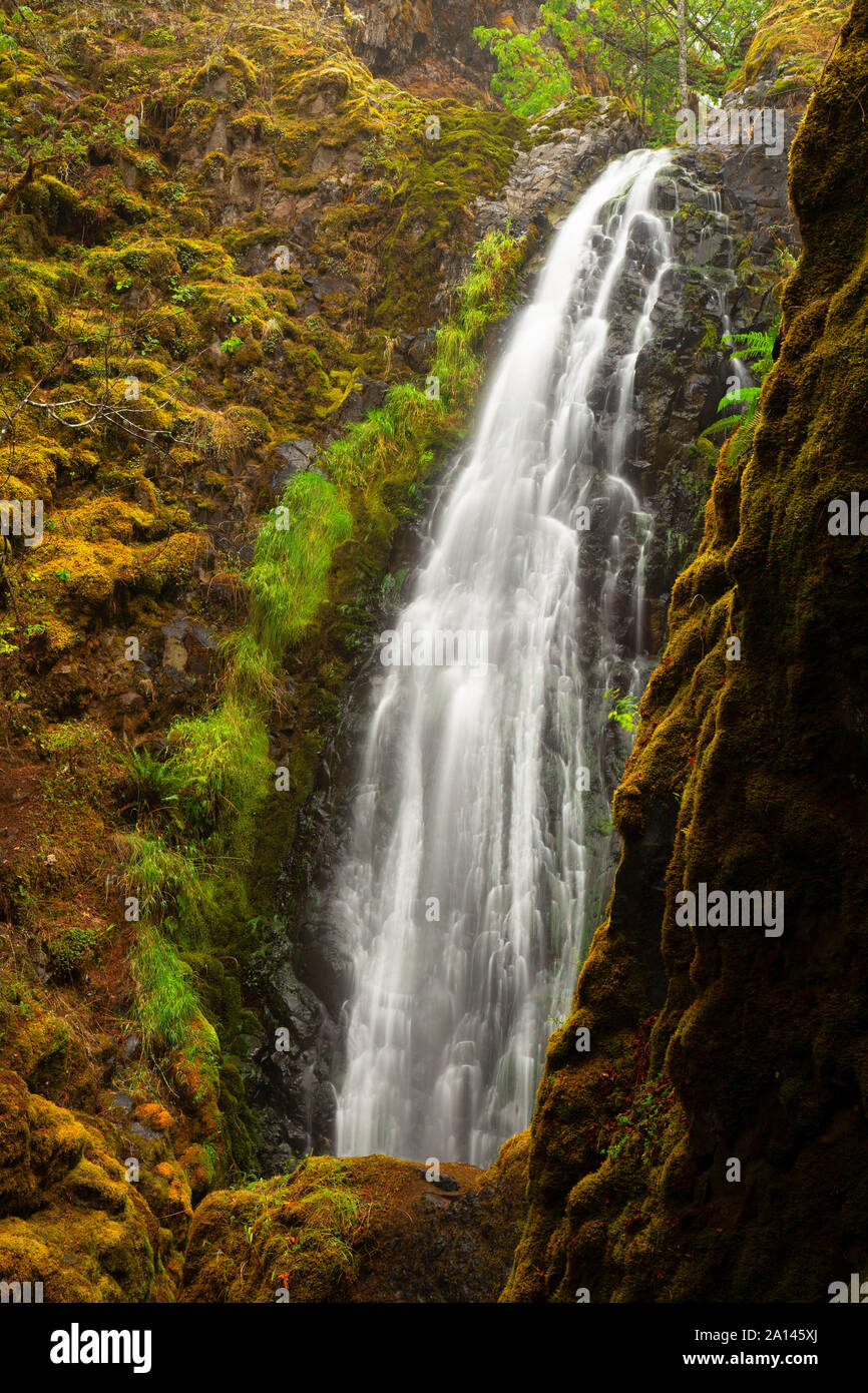 Susan Creek Falls High Resolution Stock Photography and Images - Alamy