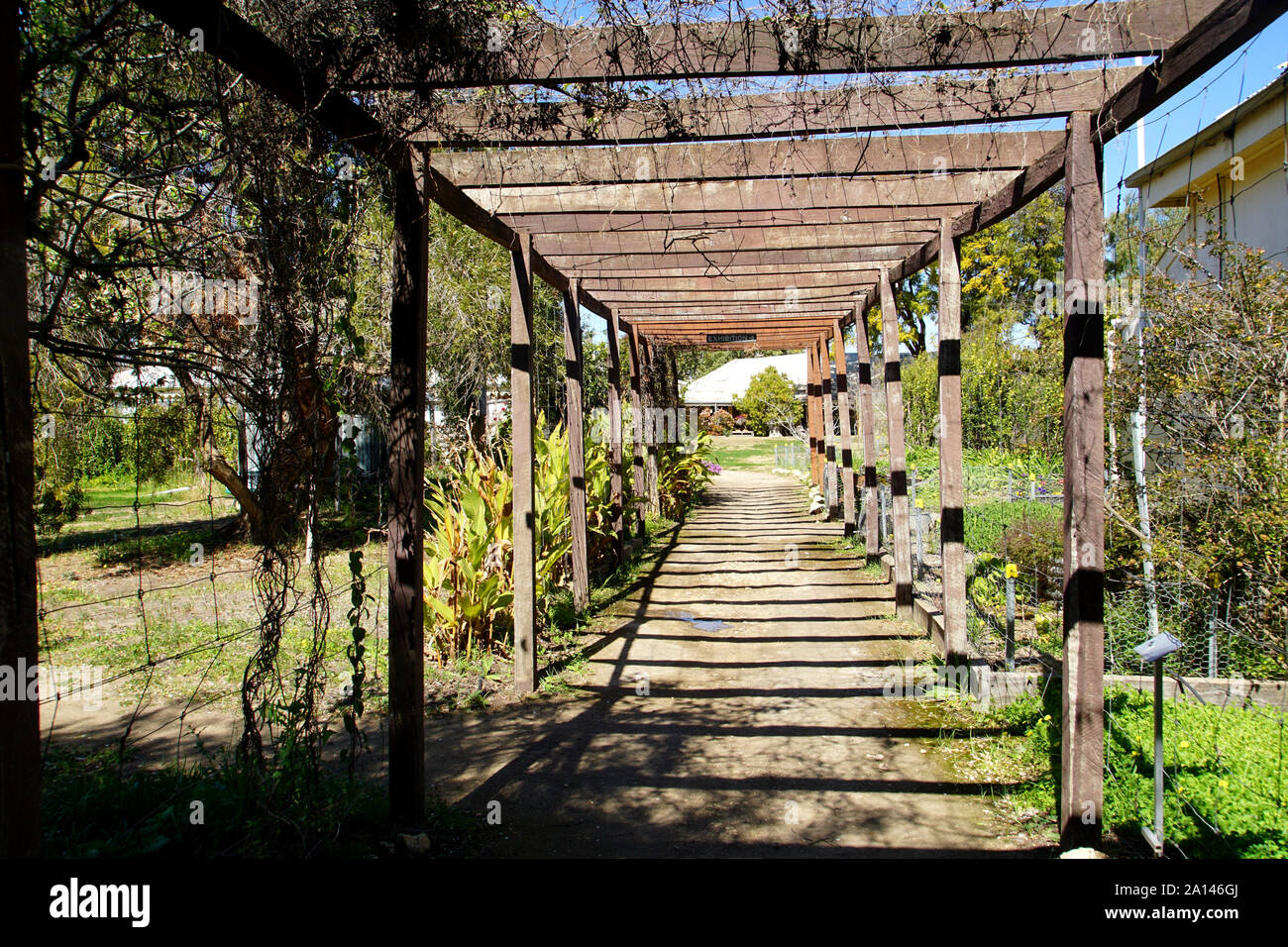 Open trellis hi-res stock photography and images - Alamy
