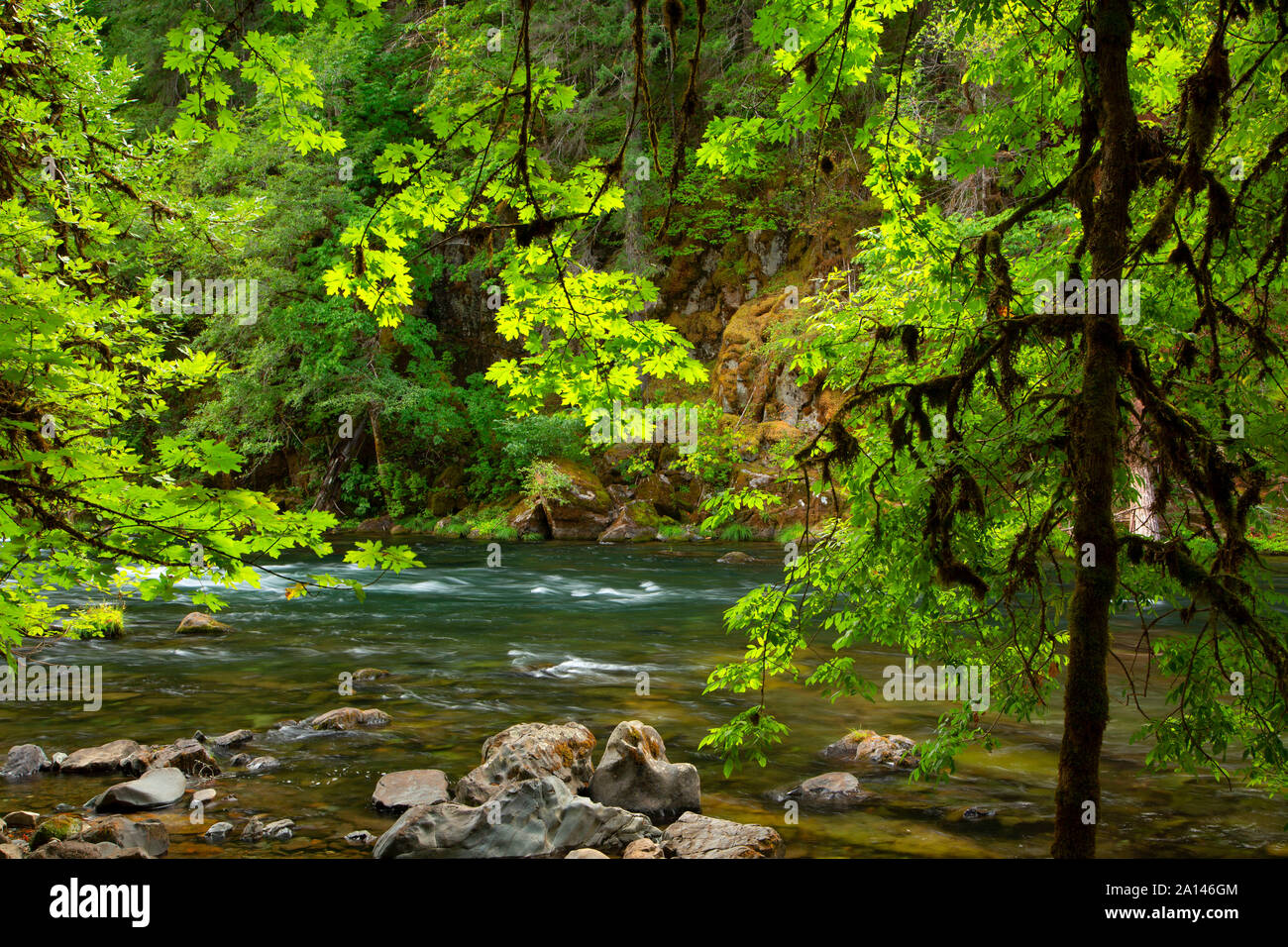 Umpqua river national wild and scenic river hi-res stock photography ...