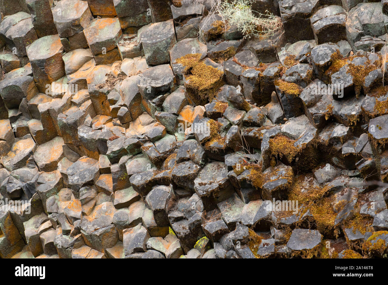 Columnar basalt from Soda Springs Viewpoint, Umpqua National Forest ...