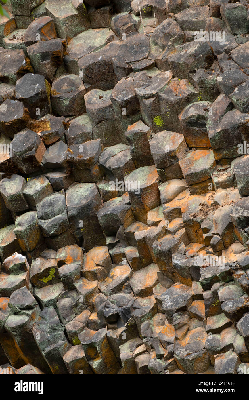 Columnar basalt from Soda Springs Viewpoint, Umpqua National Forest ...