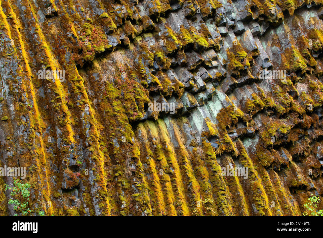 Columnar basalt from Soda Springs Viewpoint, Umpqua National Forest ...