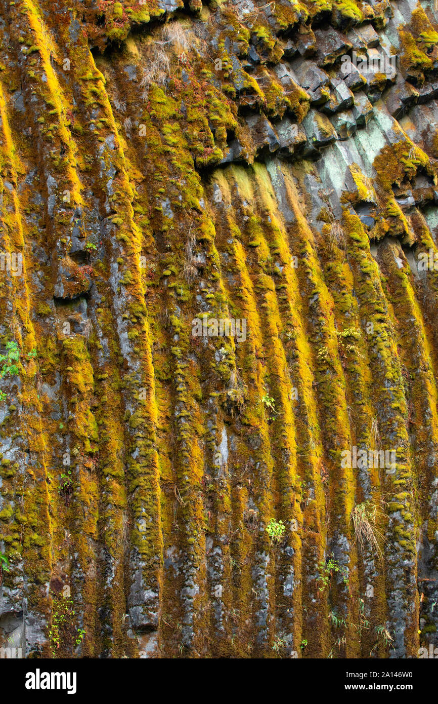 Columnar basalt from Soda Springs Viewpoint, Umpqua National Forest ...