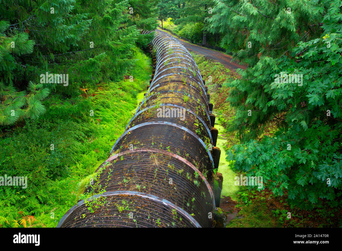 Toketee penstock, Umpqua National Forest, Rogue-Umpqua National Scenic ...