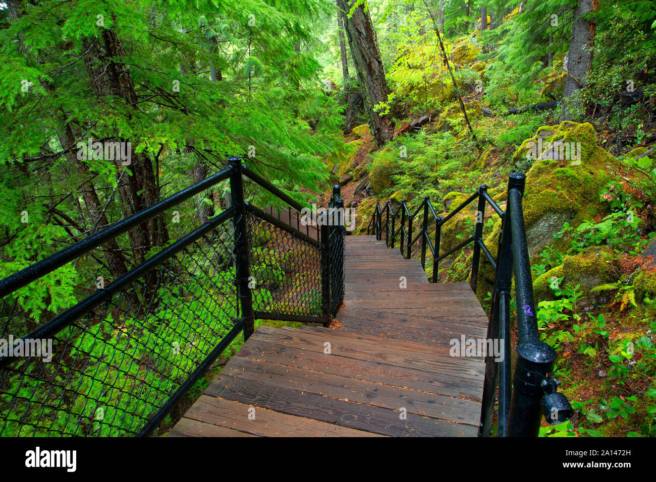 Toketee Falls Trail, Umpqua National Forest, Rogue-Umpqua National ...