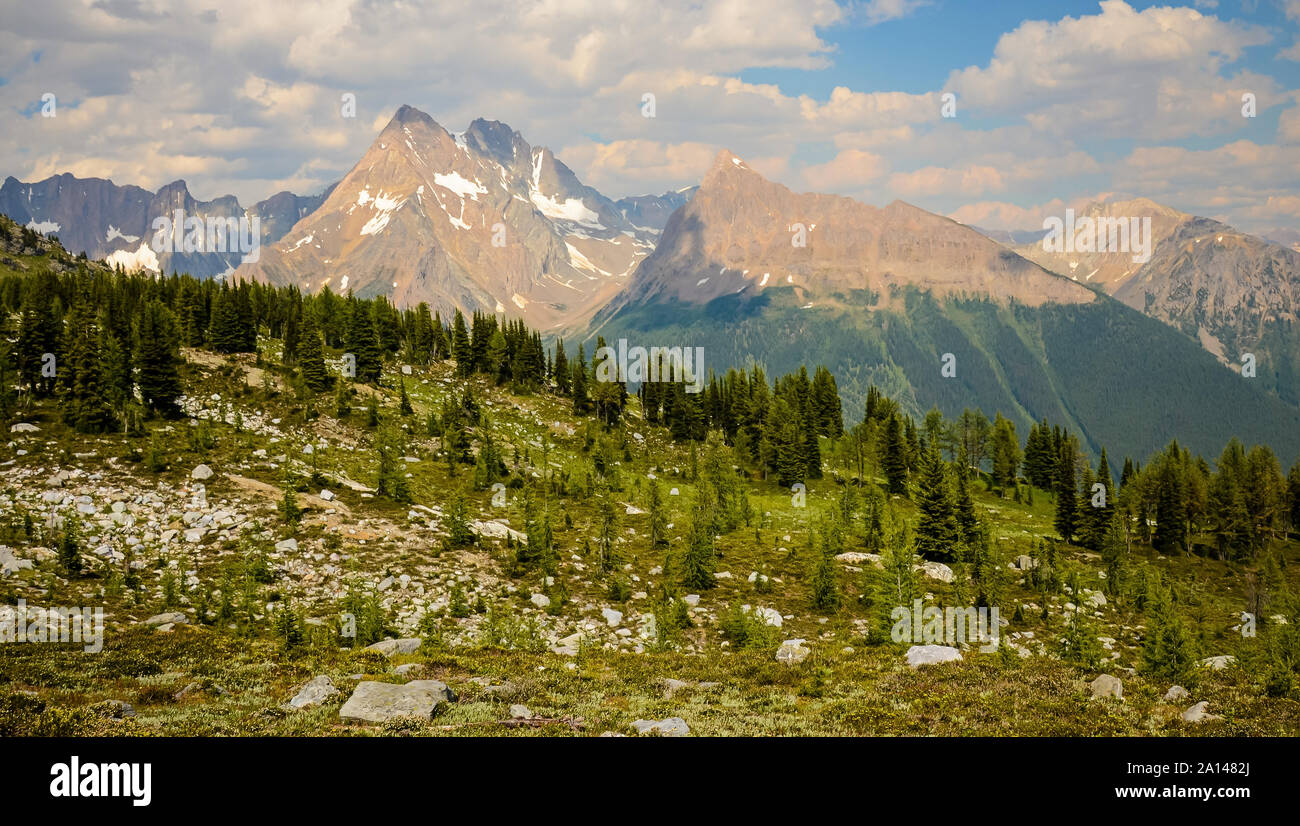 Purcell mountain range hi-res stock photography and images - Alamy
