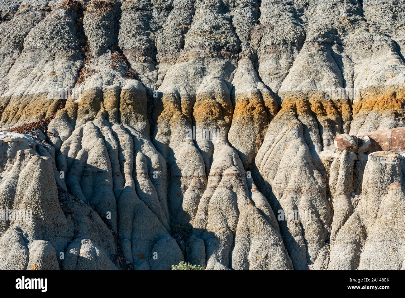 Sun Shines Bright On Hoodoo Texture in North Dakota badlands Stock ...