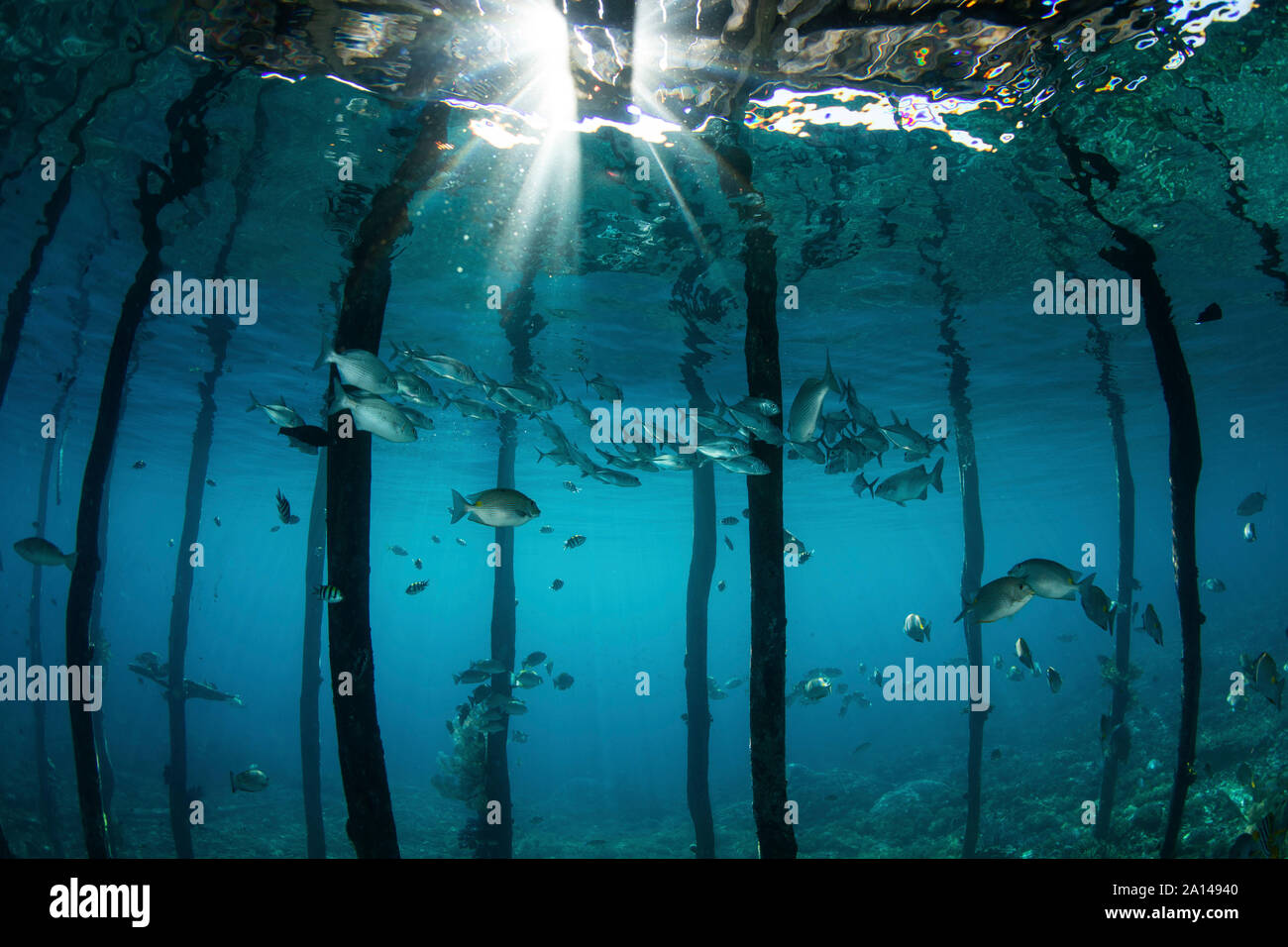 Indonesia jetty light hi-res stock photography and images - Alamy