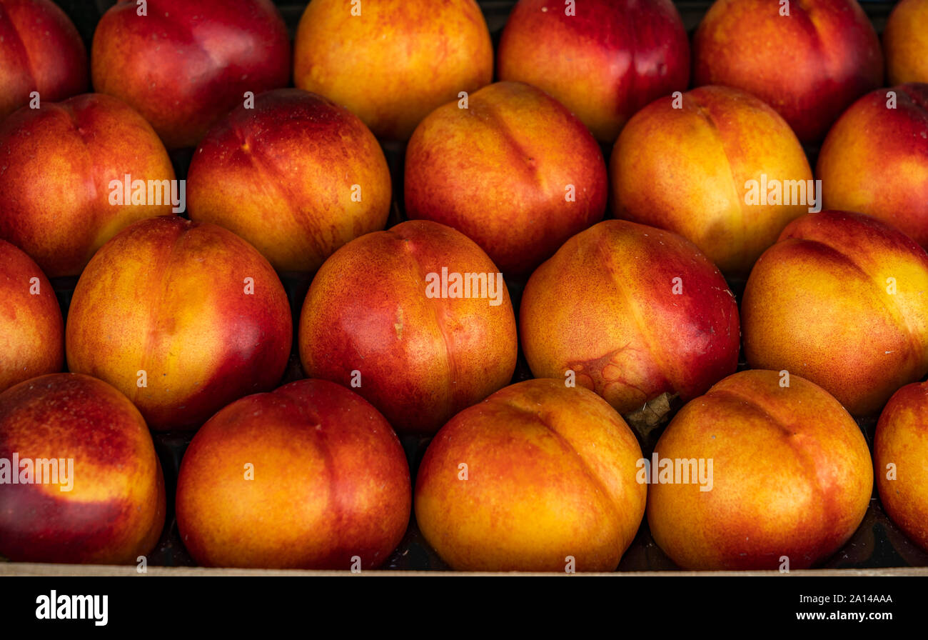 Fresh nectarines on a market stall Stock Photo - Alamy