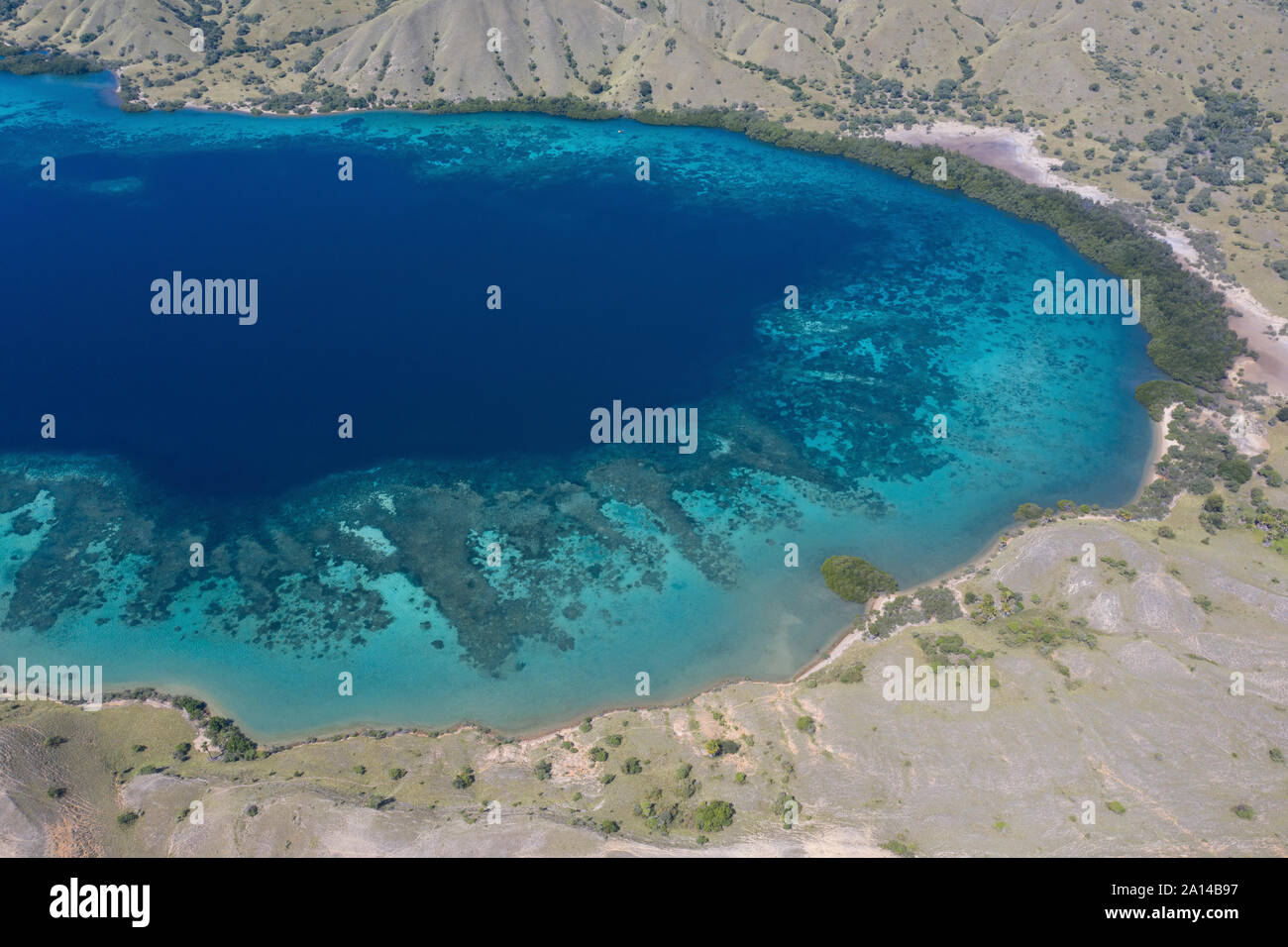 Aerial view of a fringing reef along the edge of Komodo Island ...