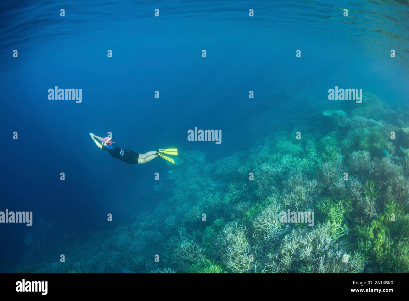 Person snorkeling raja ampat hi-res stock photography and images - Alamy