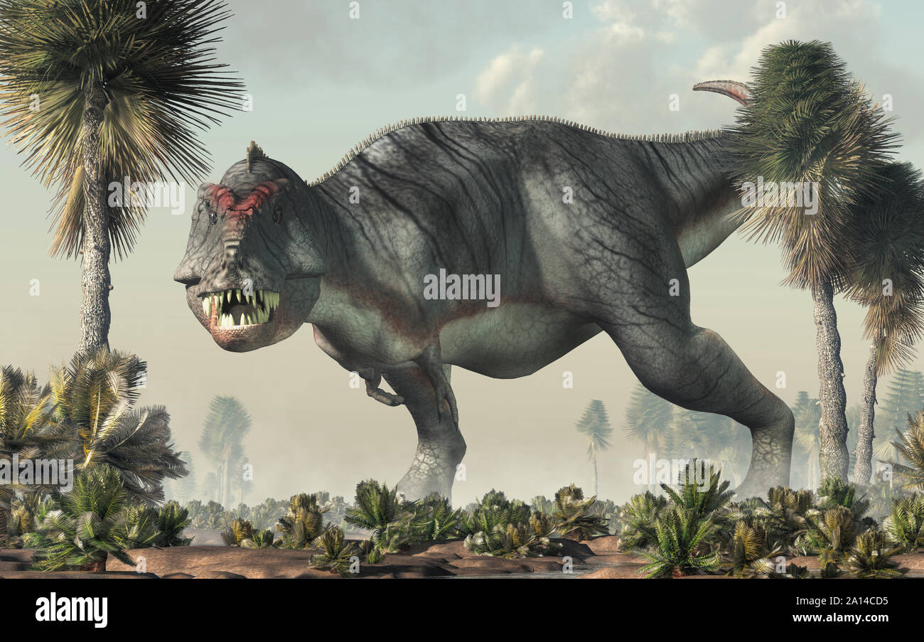 A gray tyrannosaurus rex stands in a prehistoric wetland. The most ...