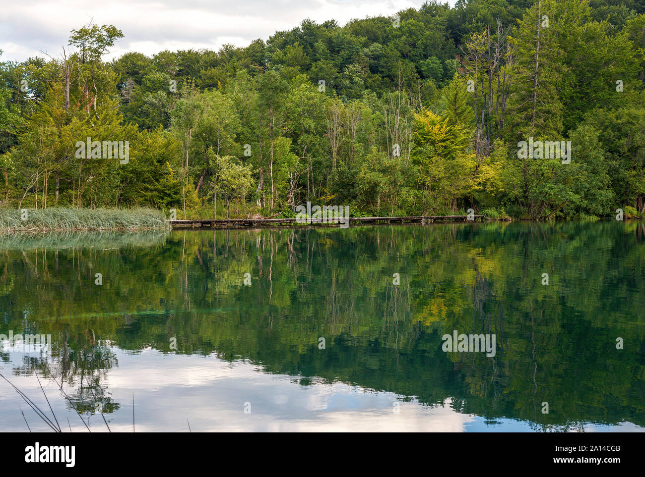 Plitvice Lakes Wildlife High Resolution Stock Photography and Images ...