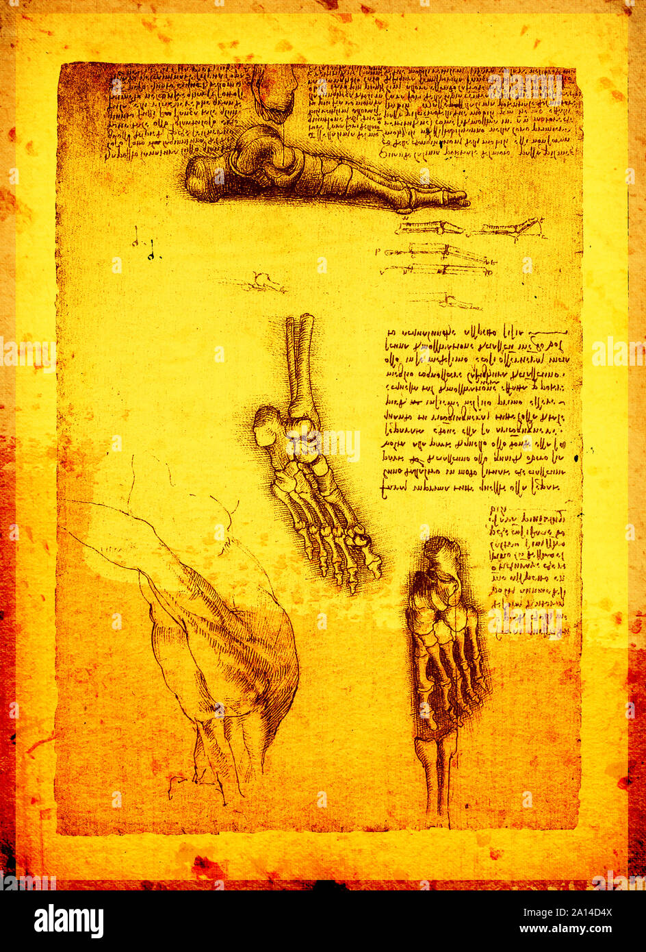 Fake antiquities hi-res stock photography and images - Alamy