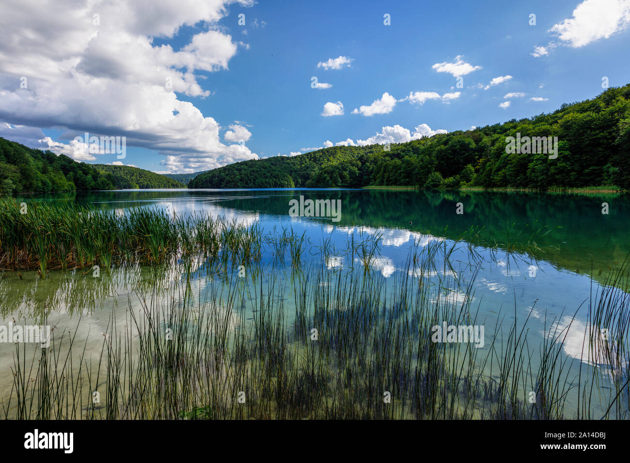 Plitvice Lakes Wildlife High Resolution Stock Photography and Images ...