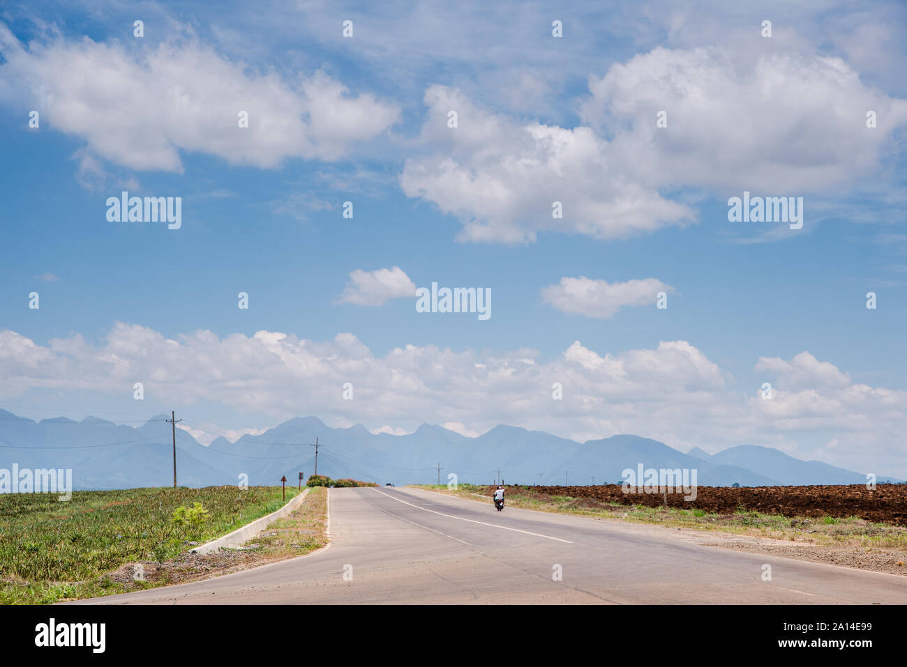 Pineapple plantation at Malaybalay, Bukidnon, Philippines Stock Photo ...