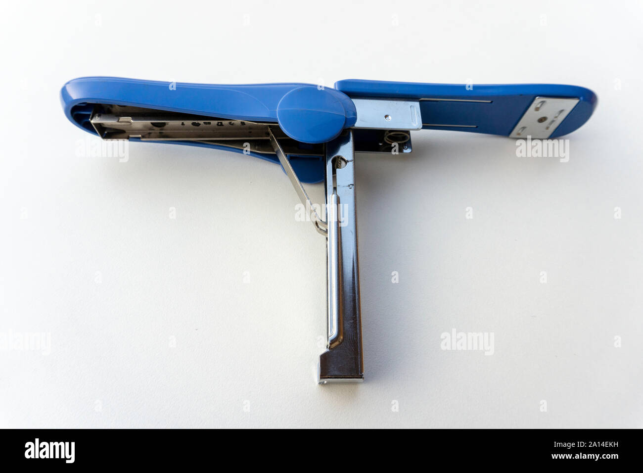 Blue stapler isolated on white background Stock Photo - Alamy
