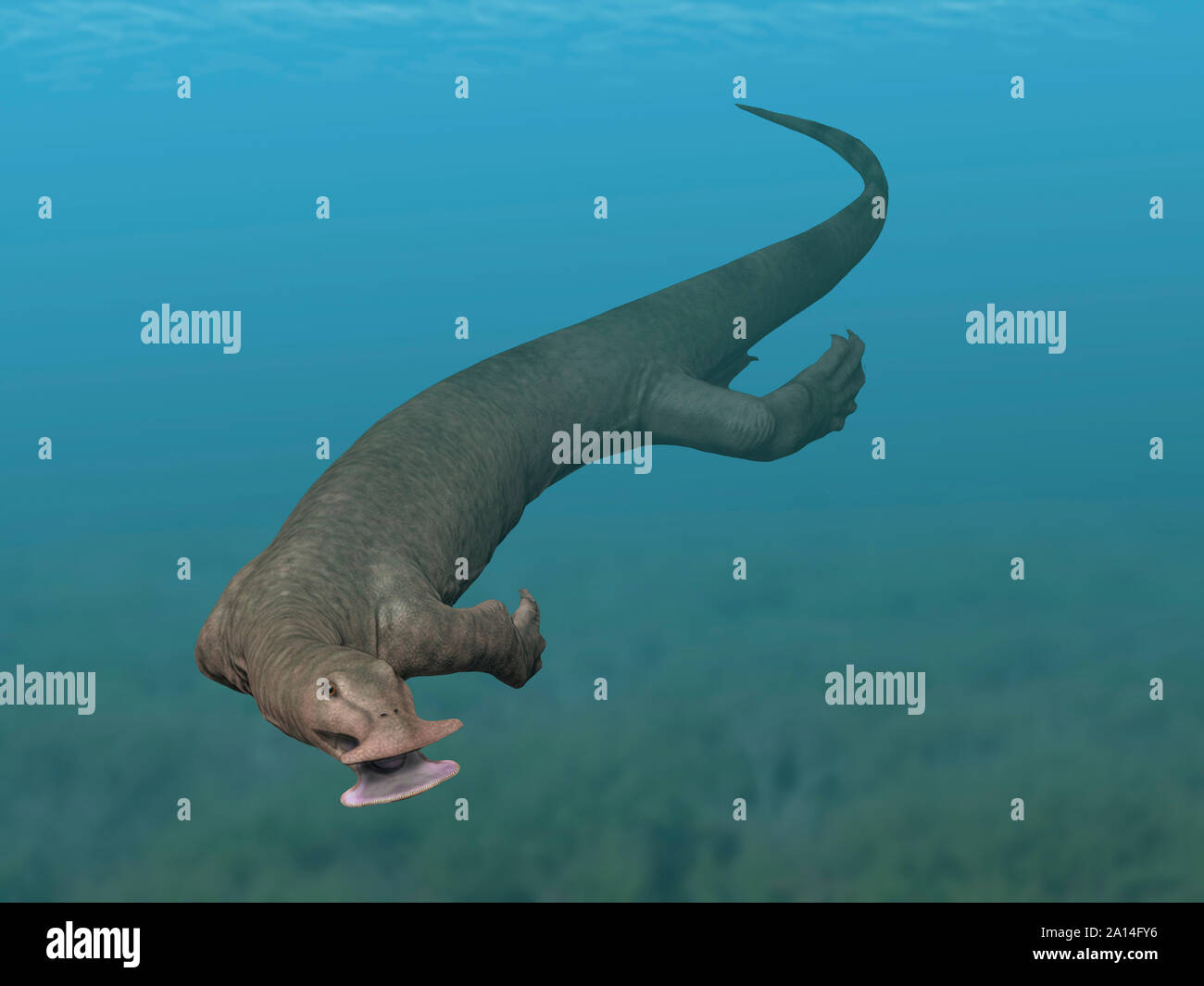 Atopodentatus unicus hi-res stock photography and images - Alamy