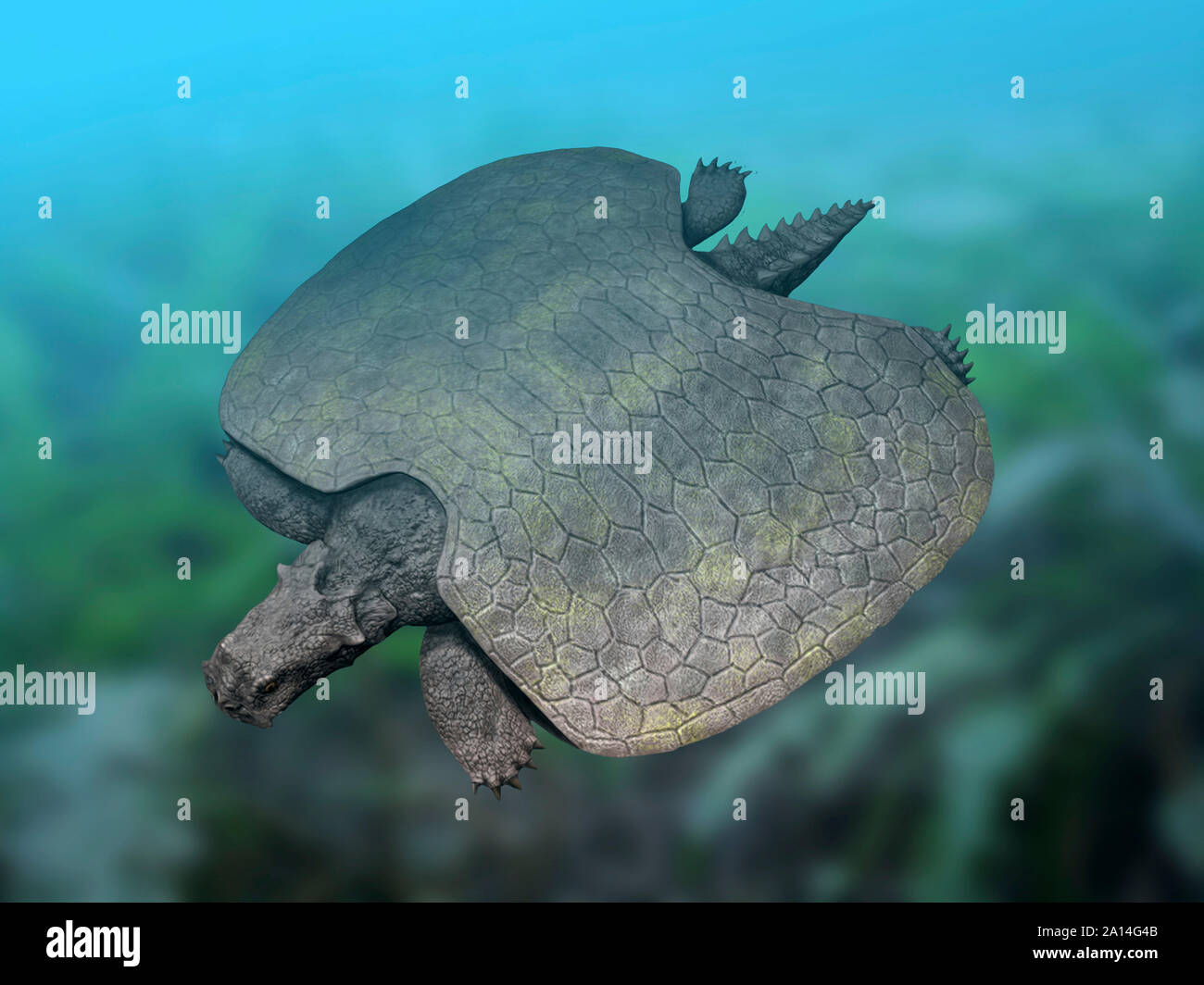 Henodus chelyops, Placodontia, Late Triassic of Germany Stock Photo - Alamy