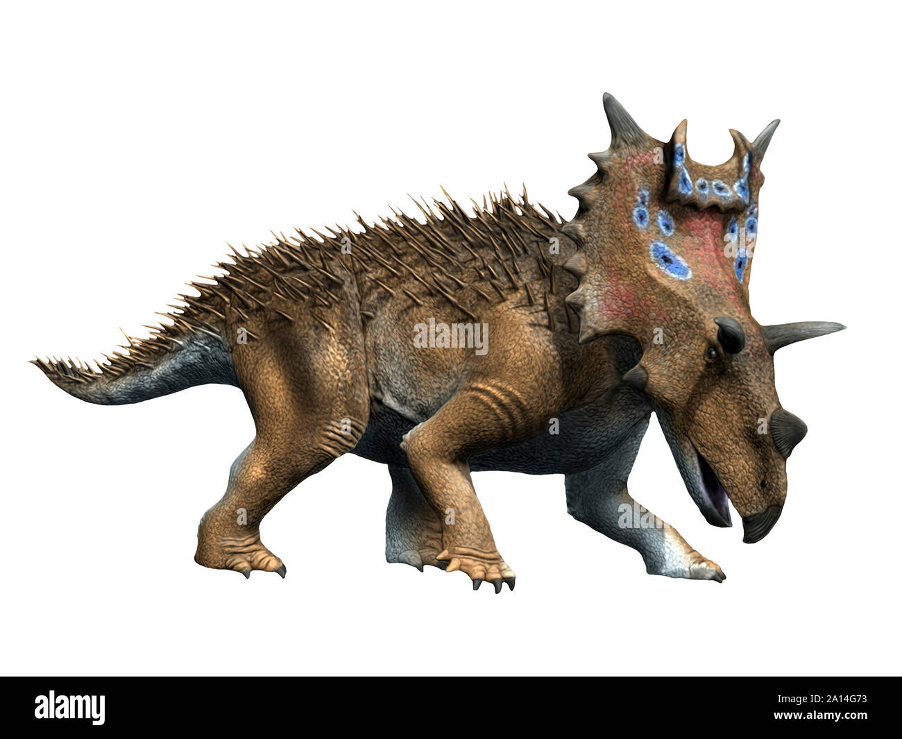 Spiclypeus hi-res stock photography and images - Alamy