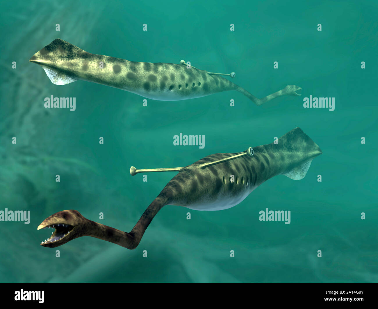 Tullimonstrum gregarium hi-res stock photography and images - Alamy