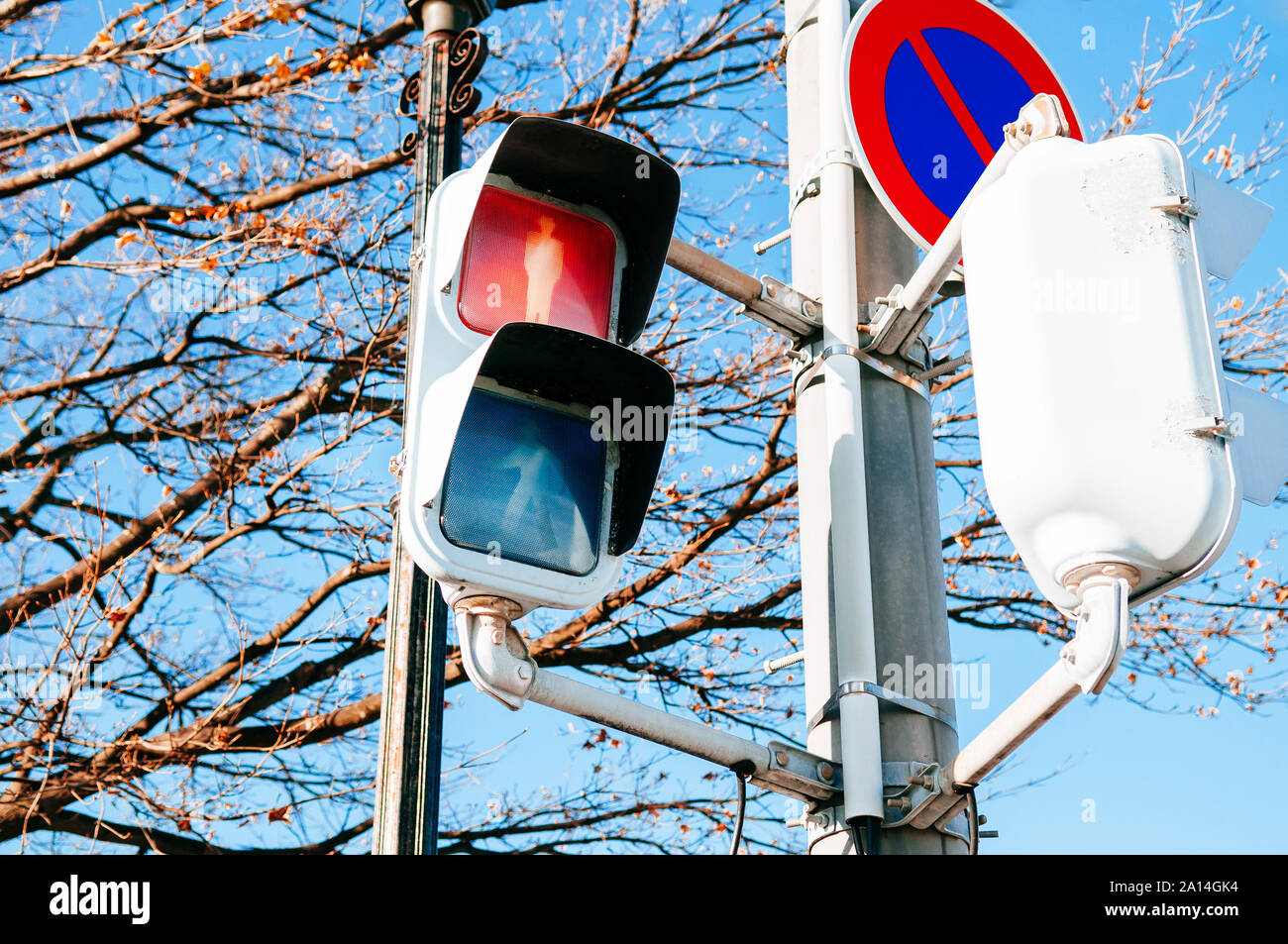 Street traffic light at pedestrain crossing sign with leafless tree ...
