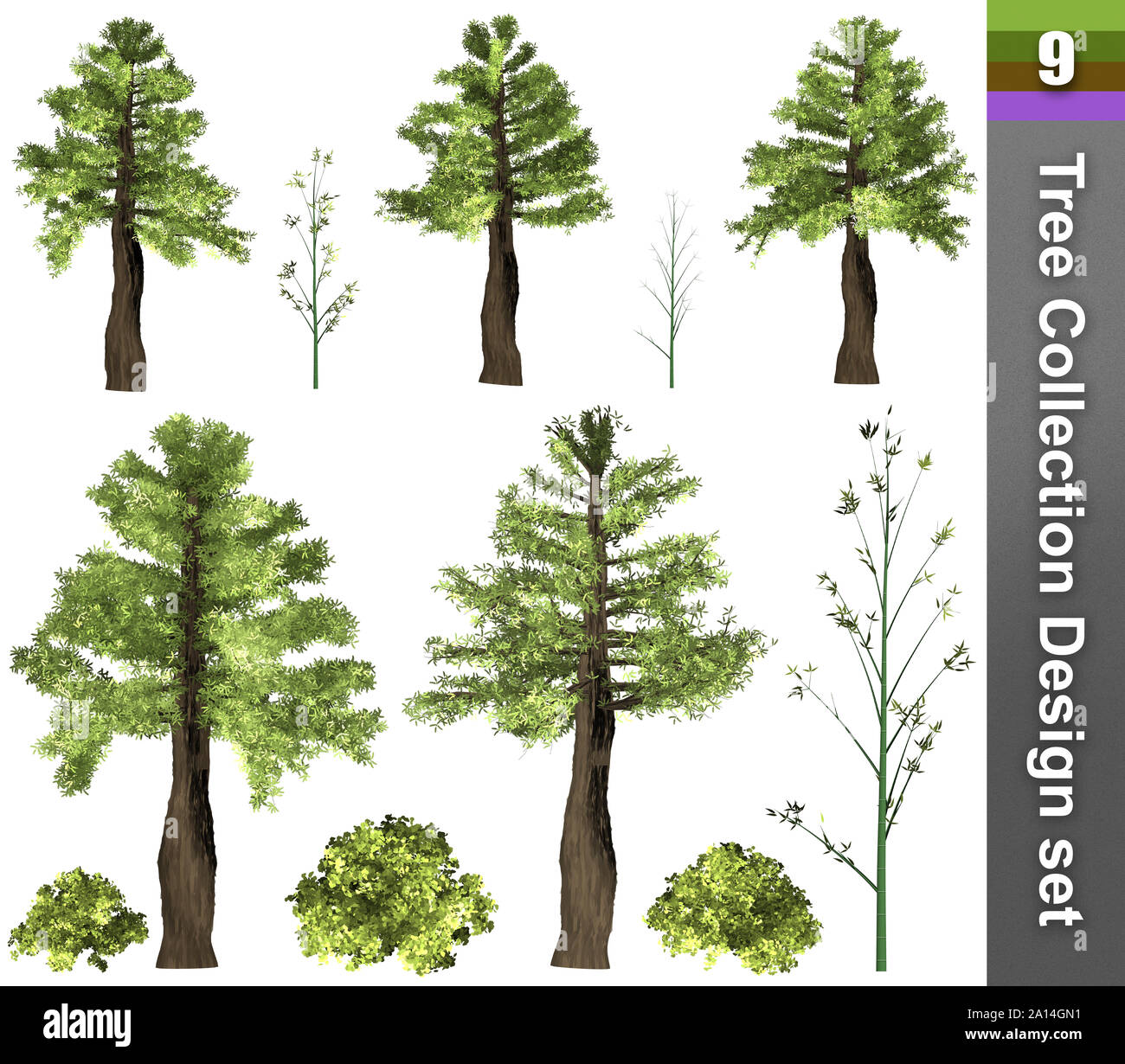 Tree correction design set. 3D Illustration. White background isolate ...
