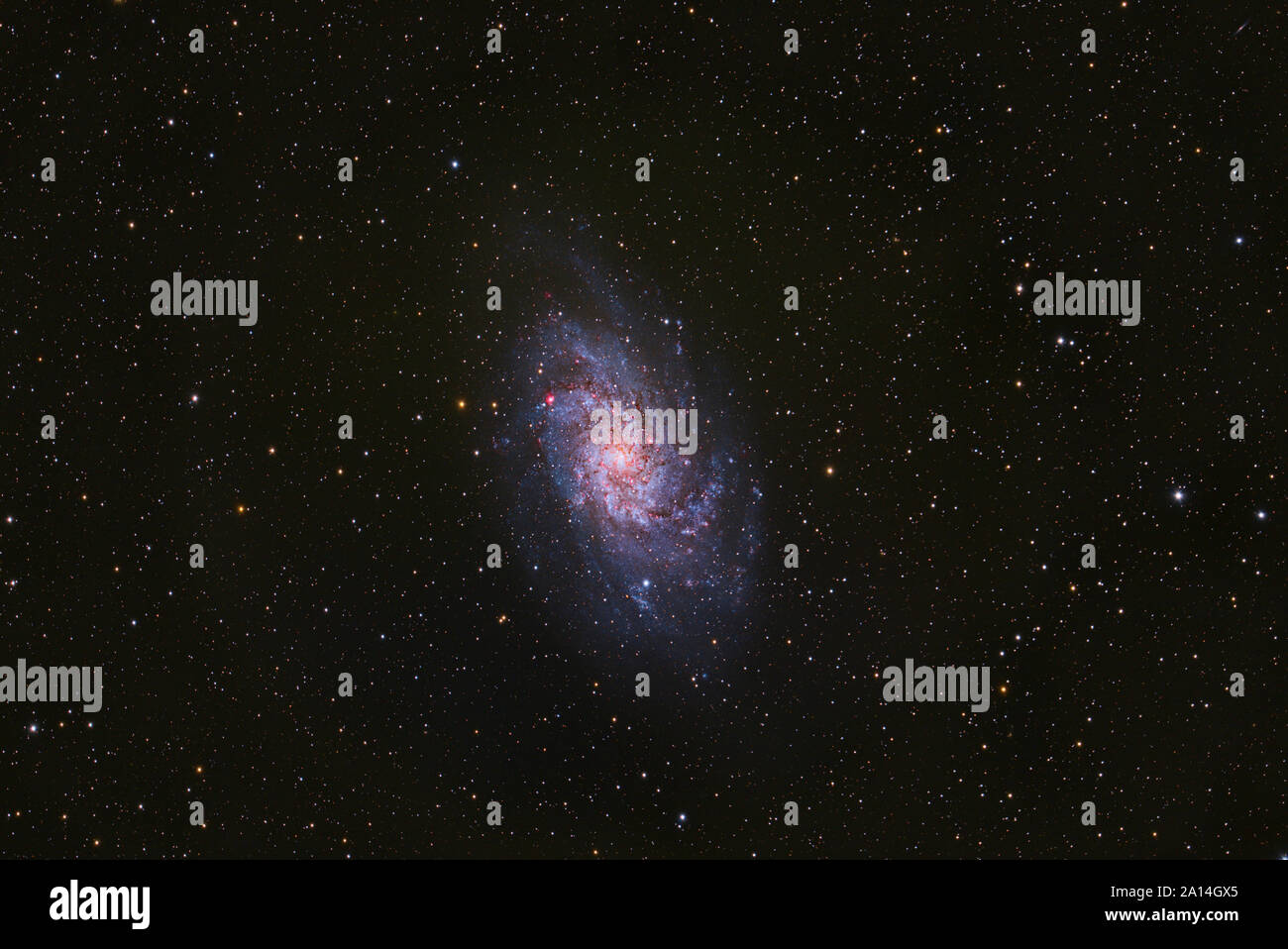 Messier 33, the Triangulum Galaxy Stock Photo - Alamy