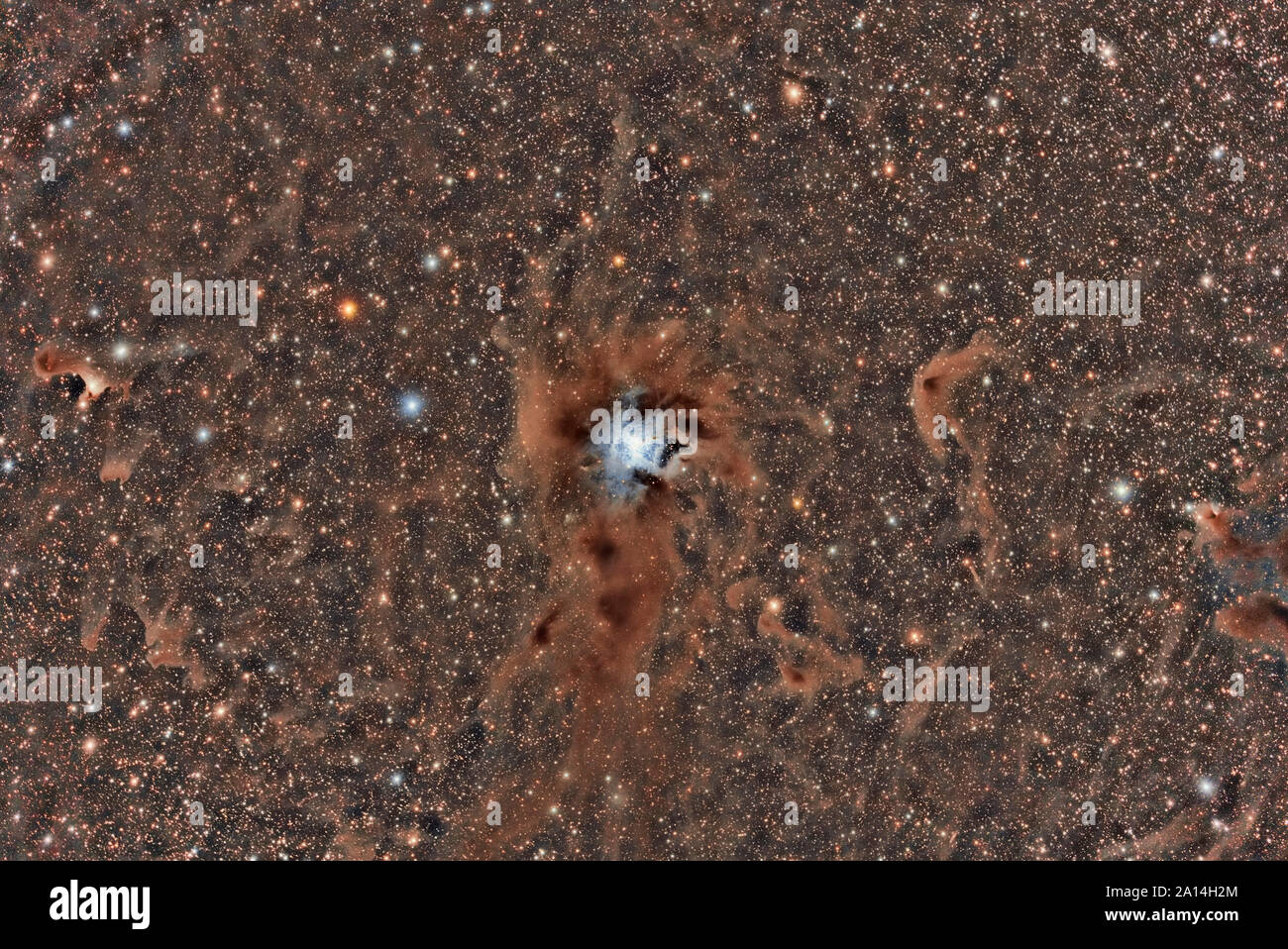 NGC 7023 Iris Nebula Stock Photo - Alamy