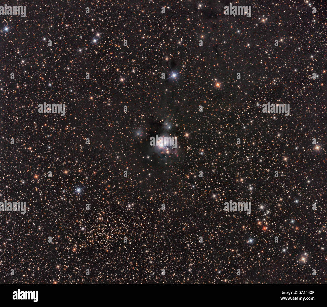 NGC 7129 reflection nebula in the constellation Cepheus Stock Photo - Alamy